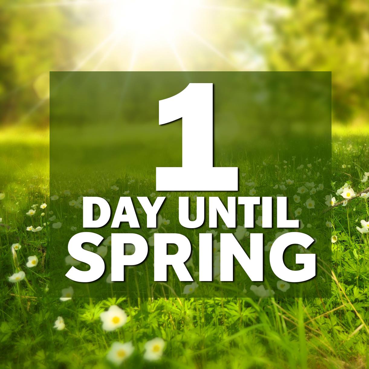 Spring Is Almost Here