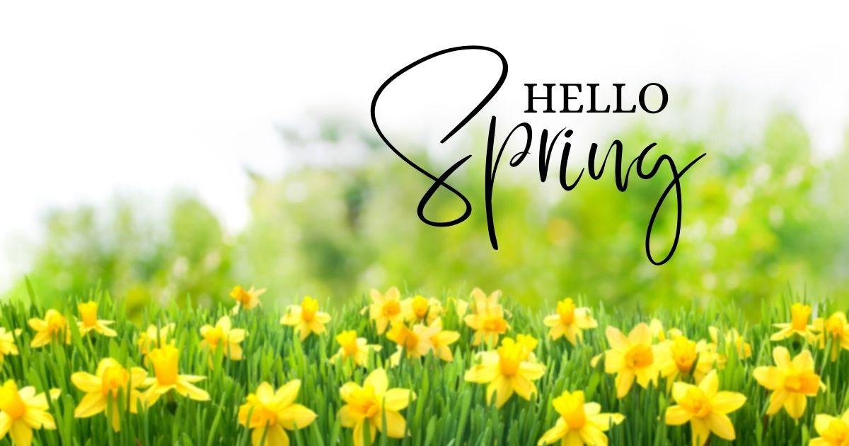 Hello Spring Facebook Cover