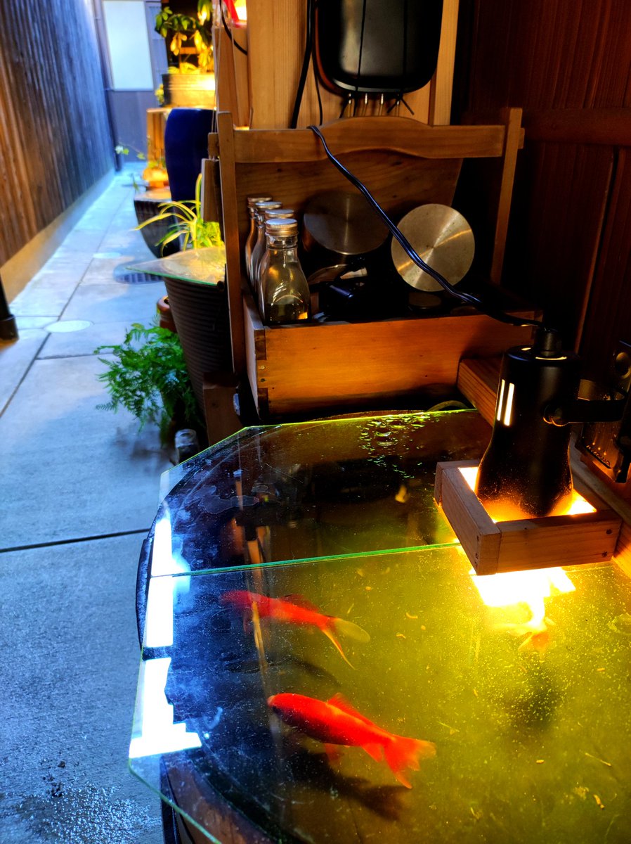 一双(@issow) - Twilog (ツイログ)