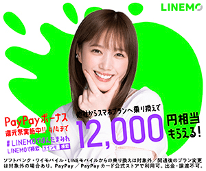 りょう＠Street Fighter on Twitter: "ふだんはこんな感じなんですよ。バッサー。 #LINEMOでほんだまみれ ...