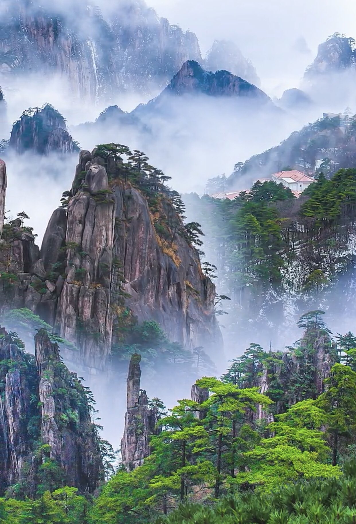 Chinese Natural Beauty