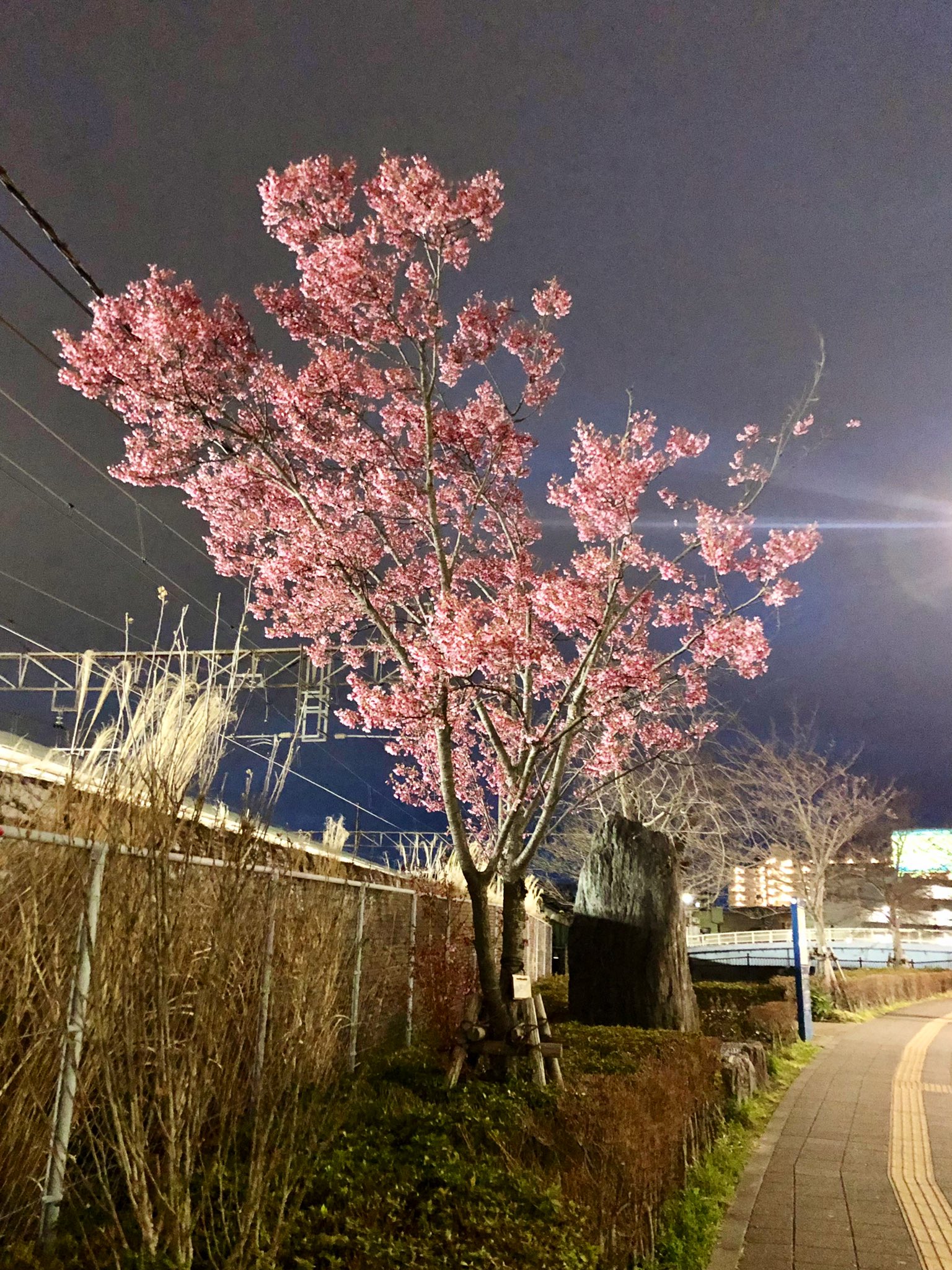 @himazinnnnn/ELT / Twitter