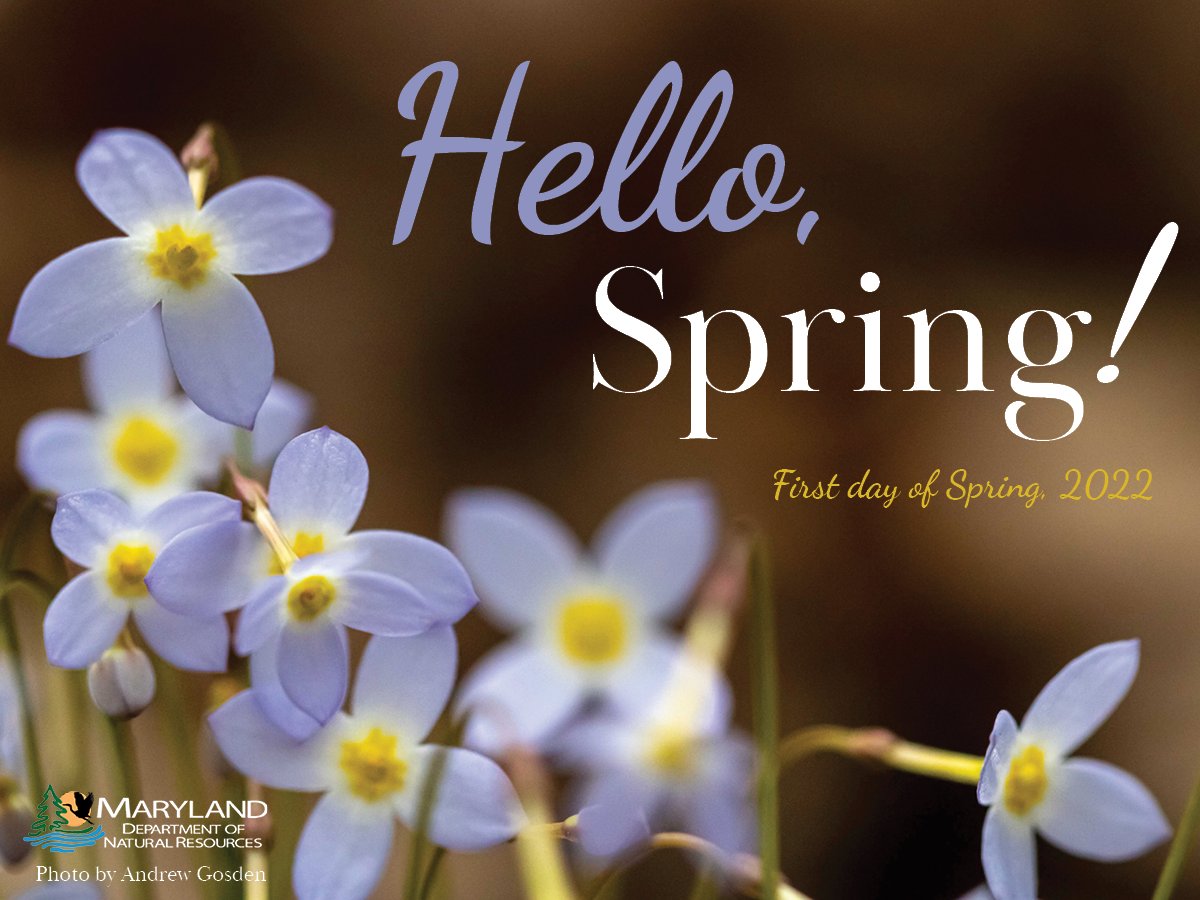 First Day Of Spring 2022 Images