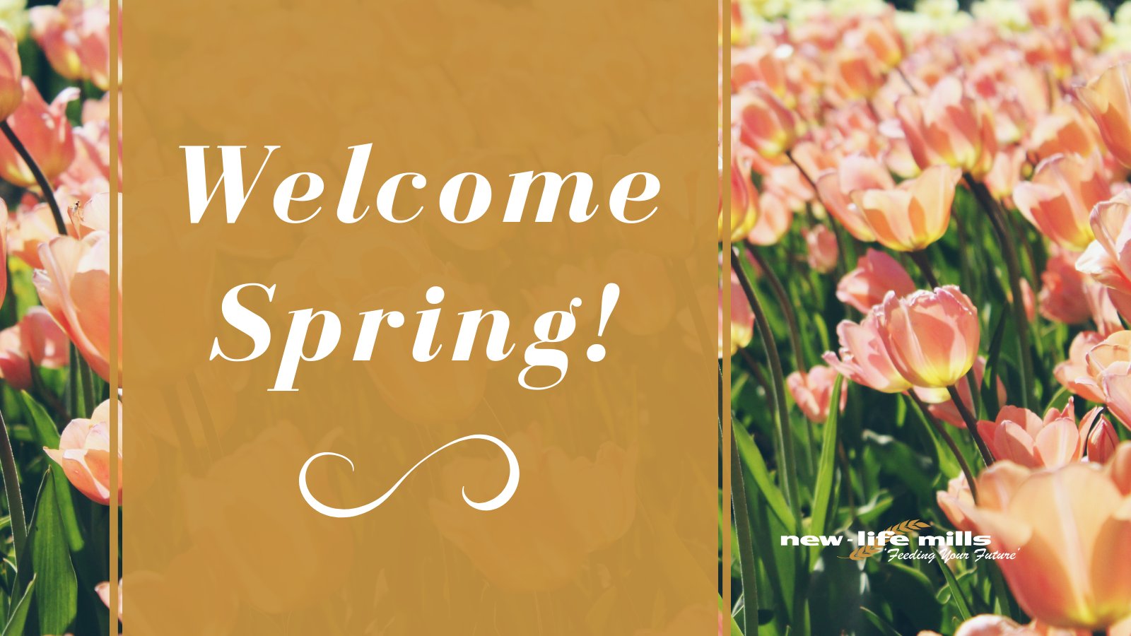 Welcome Spring 2022 Images