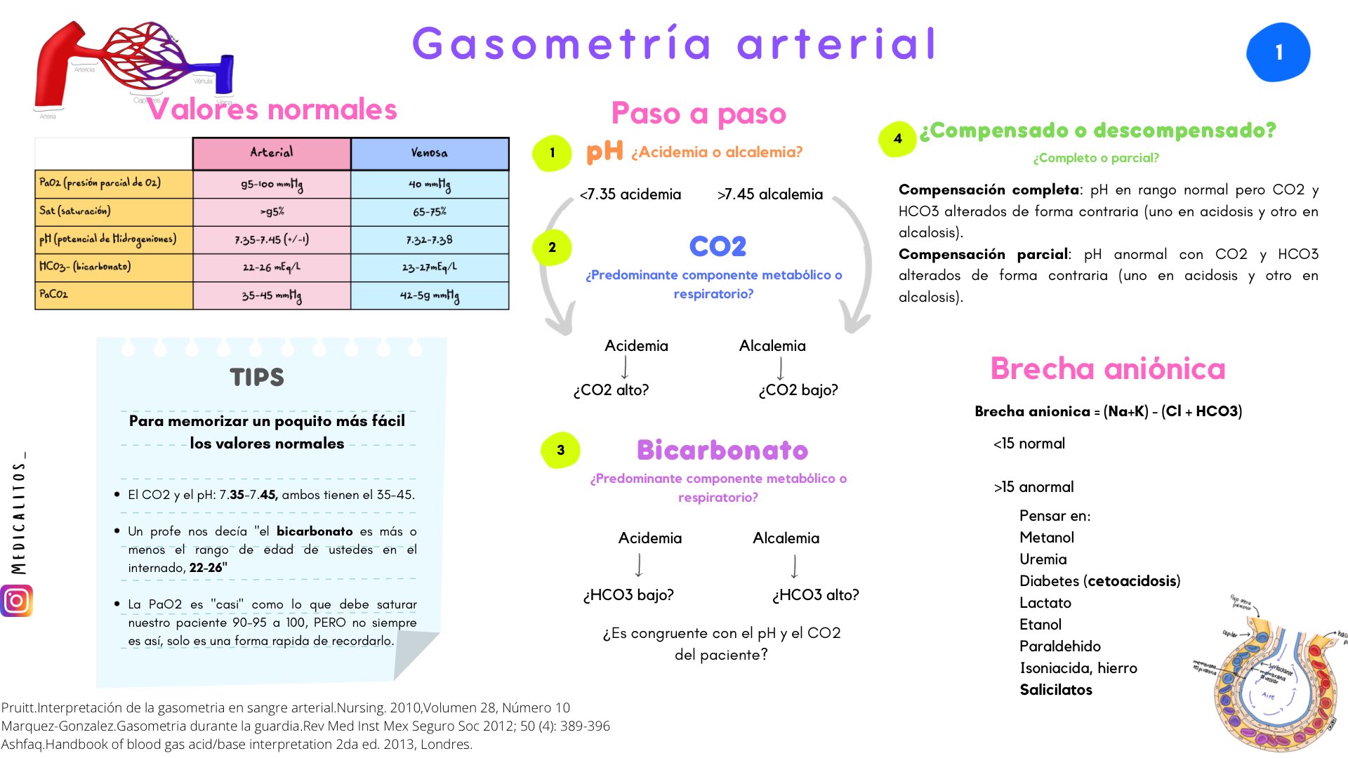 Hco3 Valores Normales Interpretación De Gases Arteriovenosos. Una