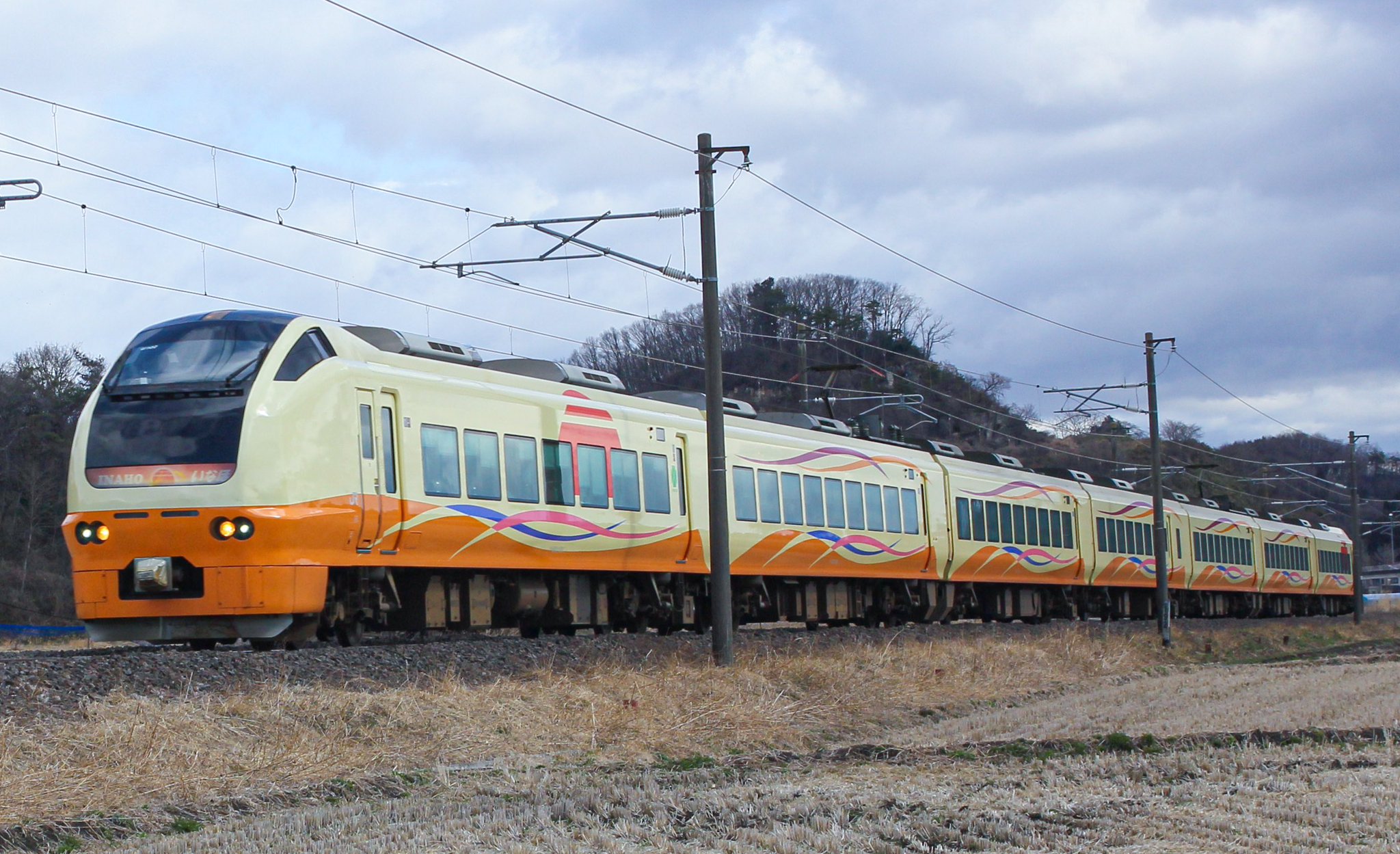 兎🐰 on Twitter: "2022/3/20 東北本線 9152M-9153M-9154M-9155M 東北新幹線救済臨時快速列車 E653系1000番台U102編成[新ﾆｲ ...