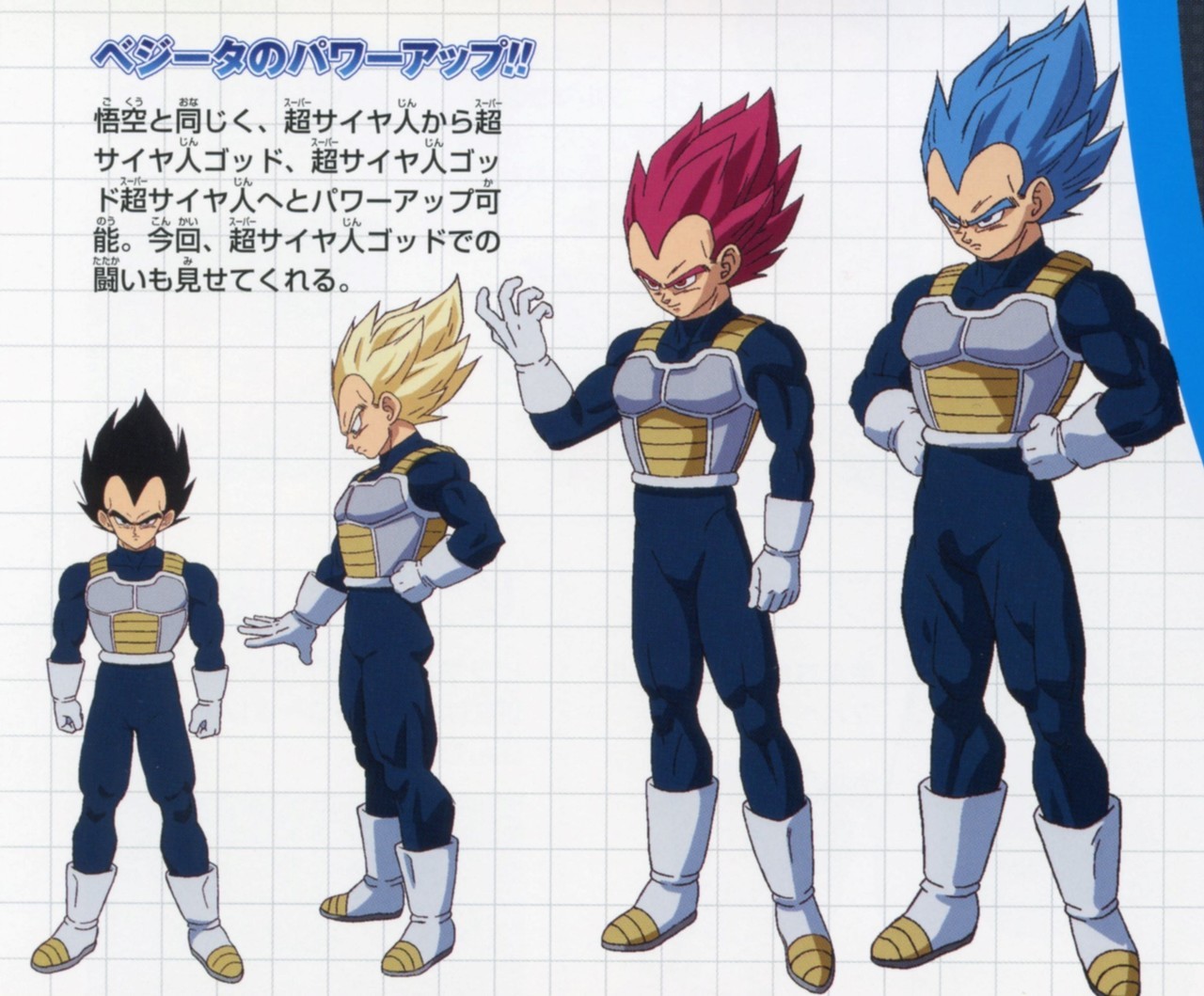 Vegeta All Transformations