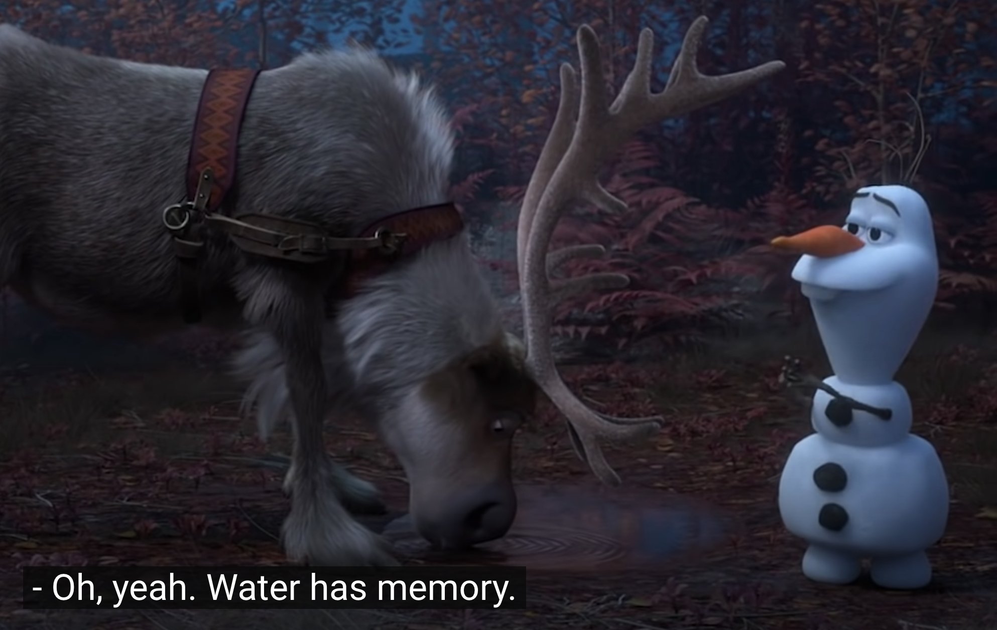 Olaf Memes Yeah Why