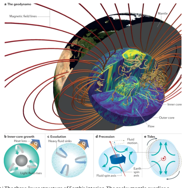Outer Core Magnetic Field