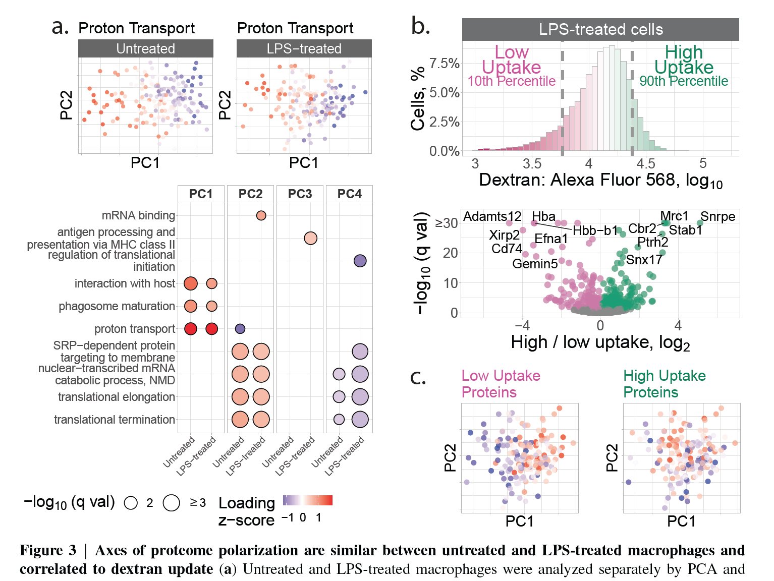 Slavov Laboratory on Twitter: "We always aimed to link single-cell protein measurements to ...