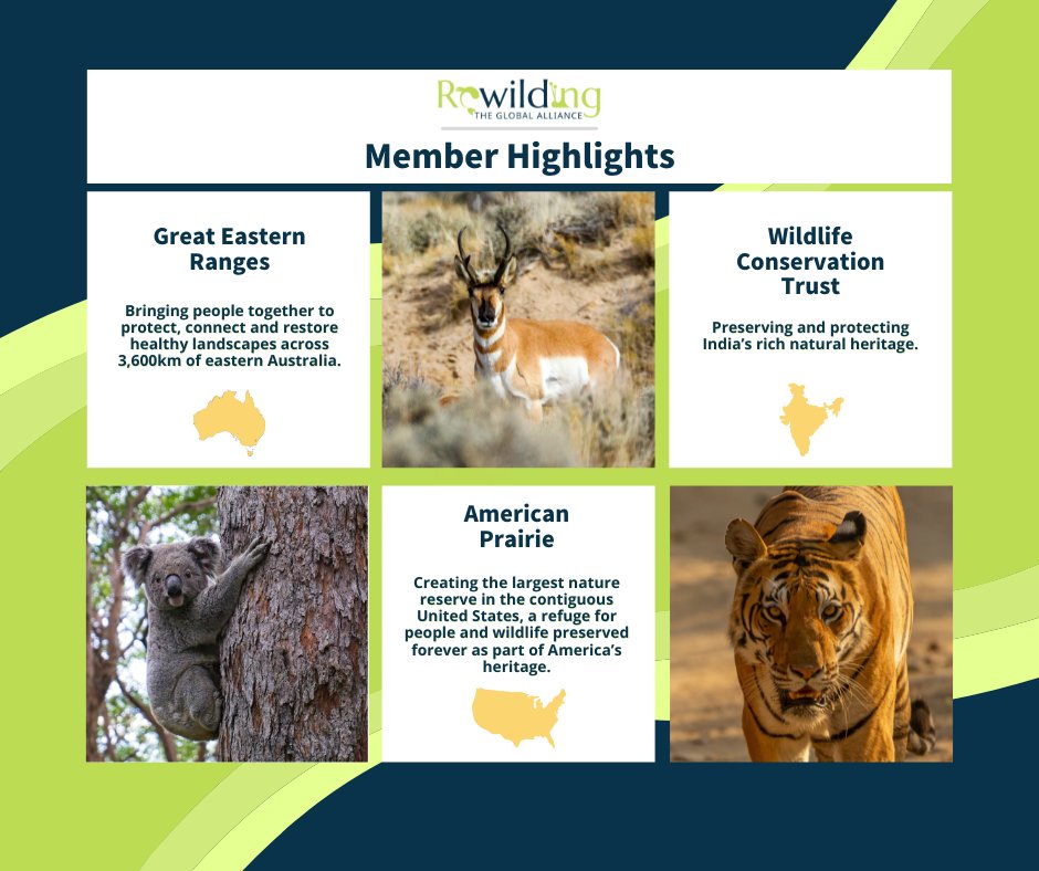 Global Rewilding Alliance on Twitter: "#WorldRewildingDay may be over but the work continues ...