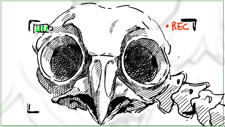 「Storyboard skinless Hooty is absolute ni」|DorkyDoodleの漫画
