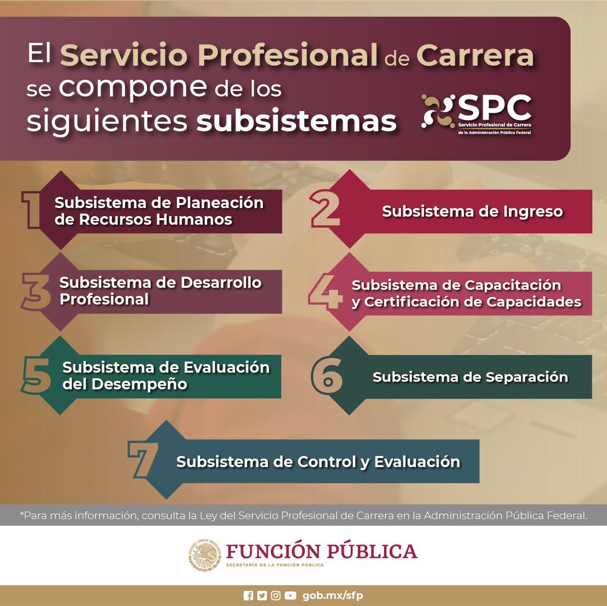 Sfp México 🇲🇽 On Twitter ¿ Sabíasque El Servicio Profesional De
