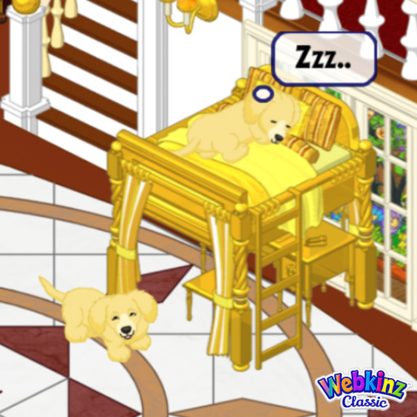 Ganz eStore on Twitter: "This pup gets tired taking long walks, so have them rest up atop their ...