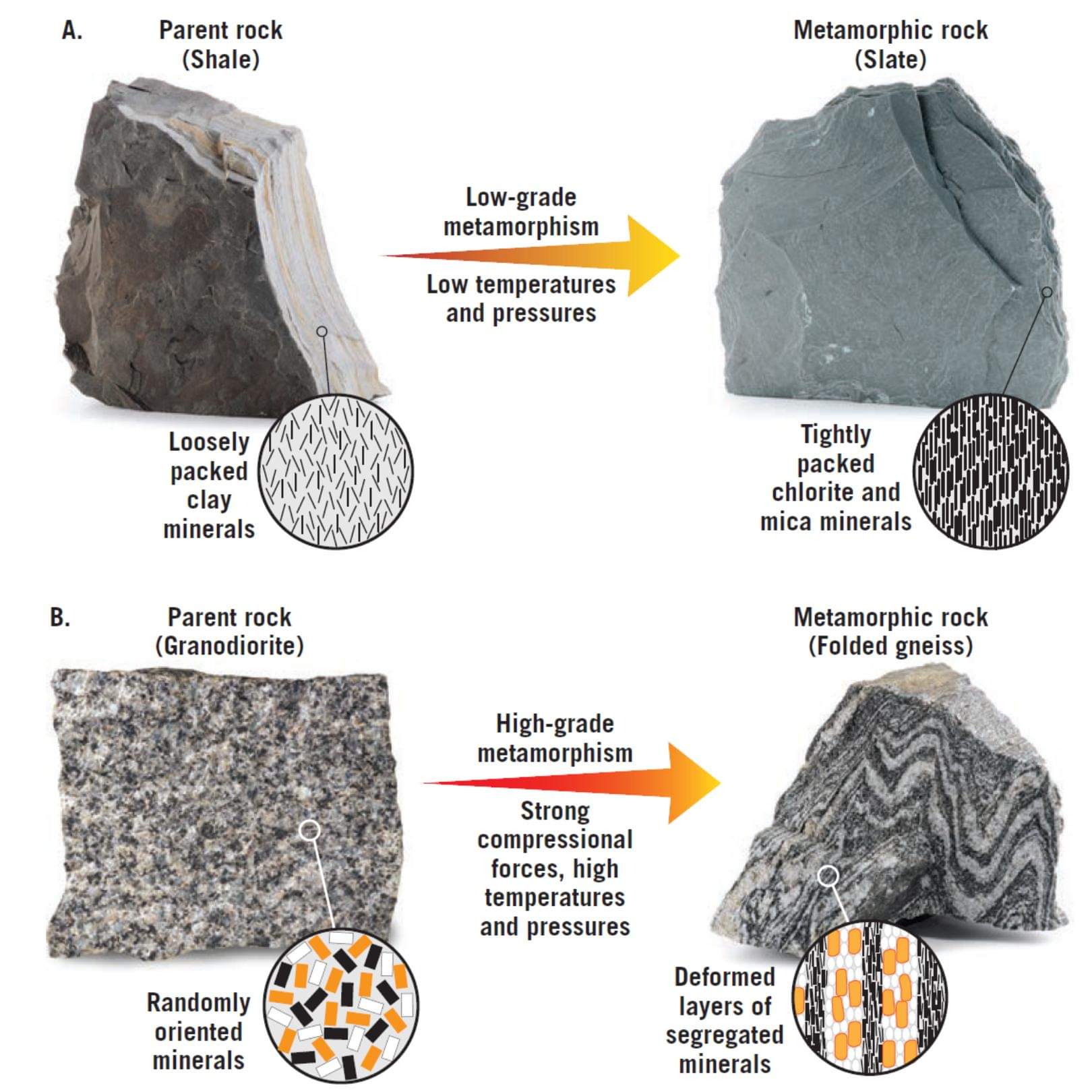 Metamorphic Rock Slate