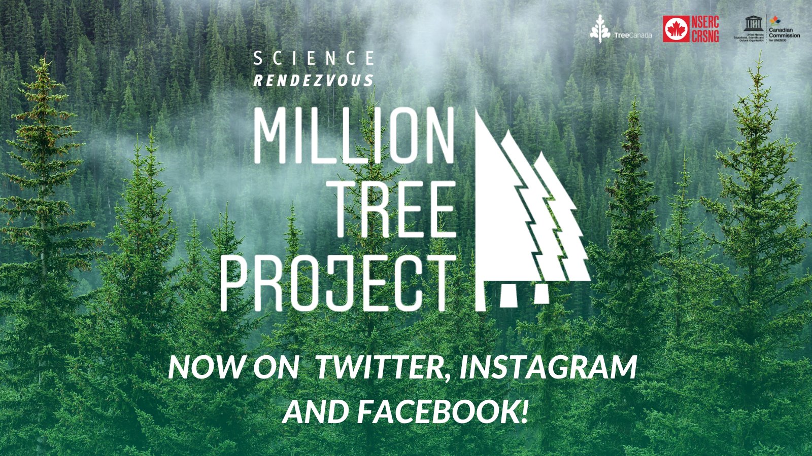 Million Tree Project (@MillTreeProject) / Twitter
