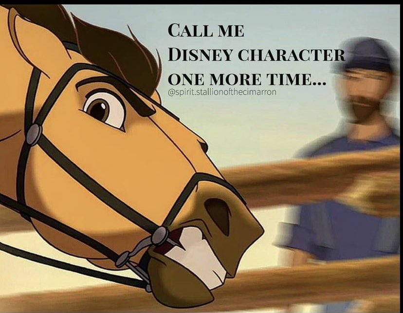 Spirit The Movie Quotes