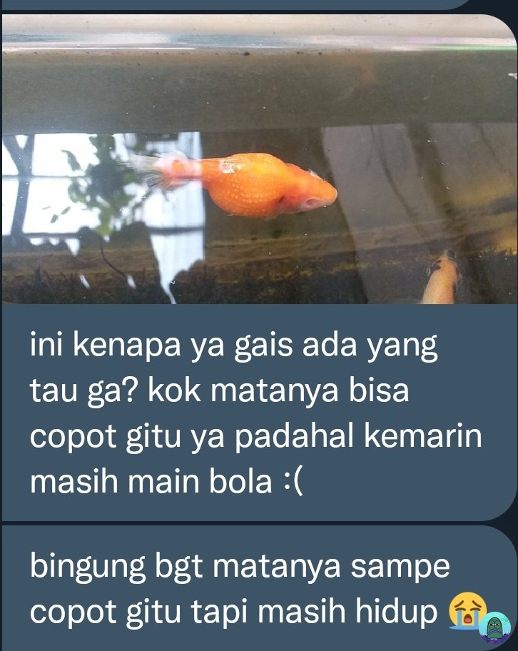 Tanyarl : ON 💚 on Twitter: "Tanyarl Tanyarl Tanyarl TITIPAN 💚 💚 💚 https ...