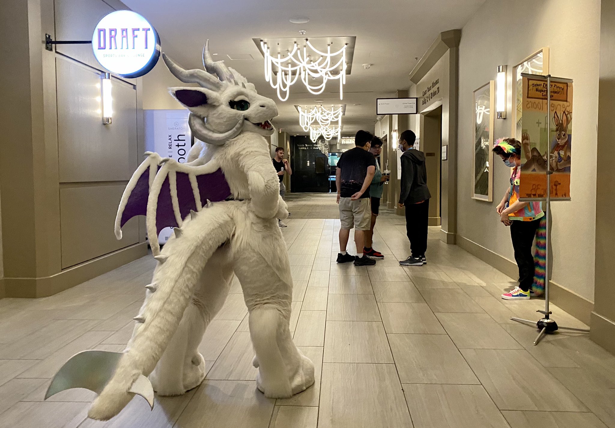 Skye Cabbit on Twitter: "Got some neat photos of @CelesteDrag0n from TFF💕 https://t.co ...