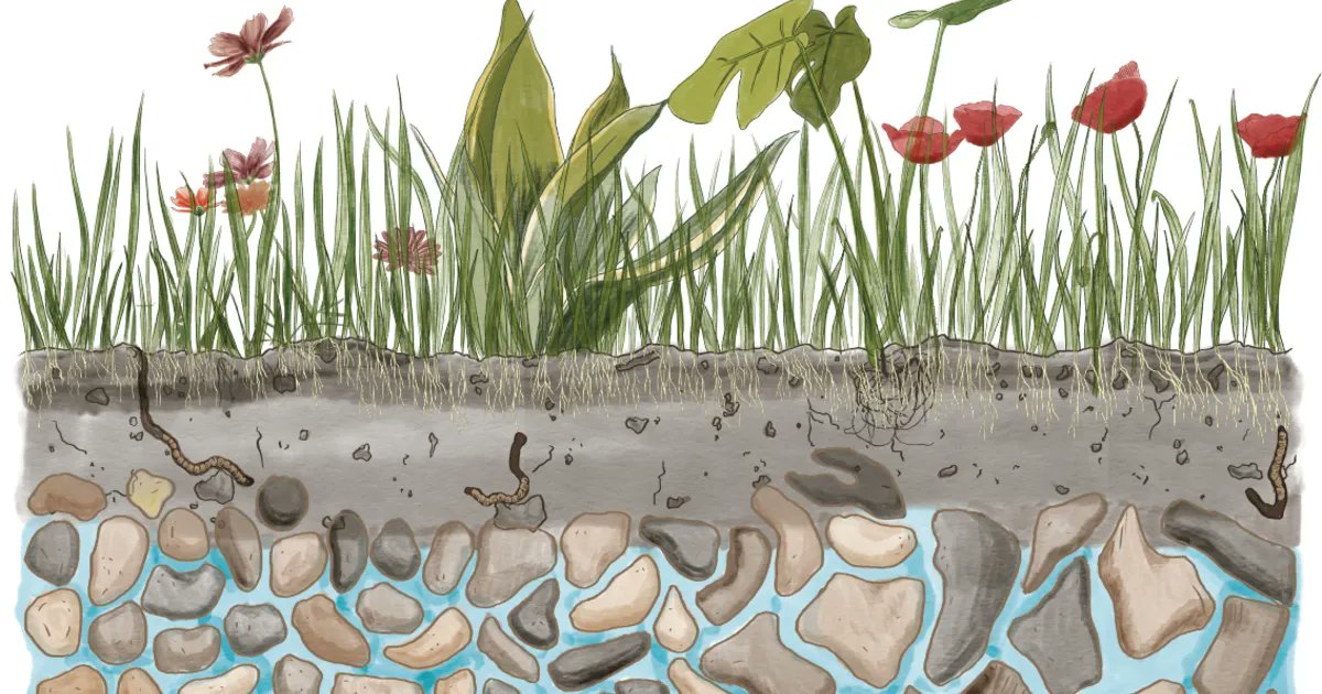 UN-Water on Twitter: "Join ‘Aqua’, a water drop in the ocean that ...