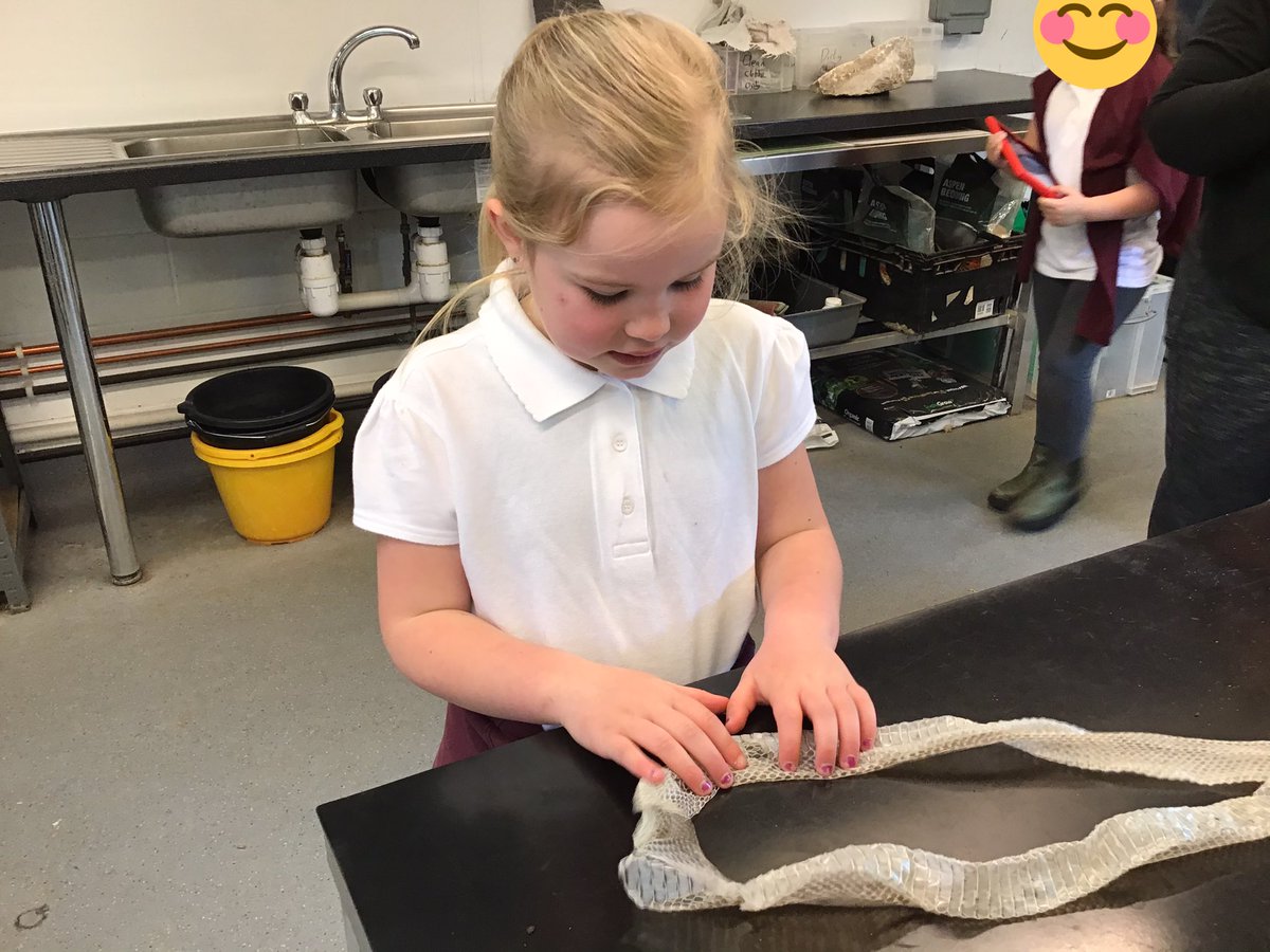 New Earswick Primary School – To have the best, to do our best, to be ...