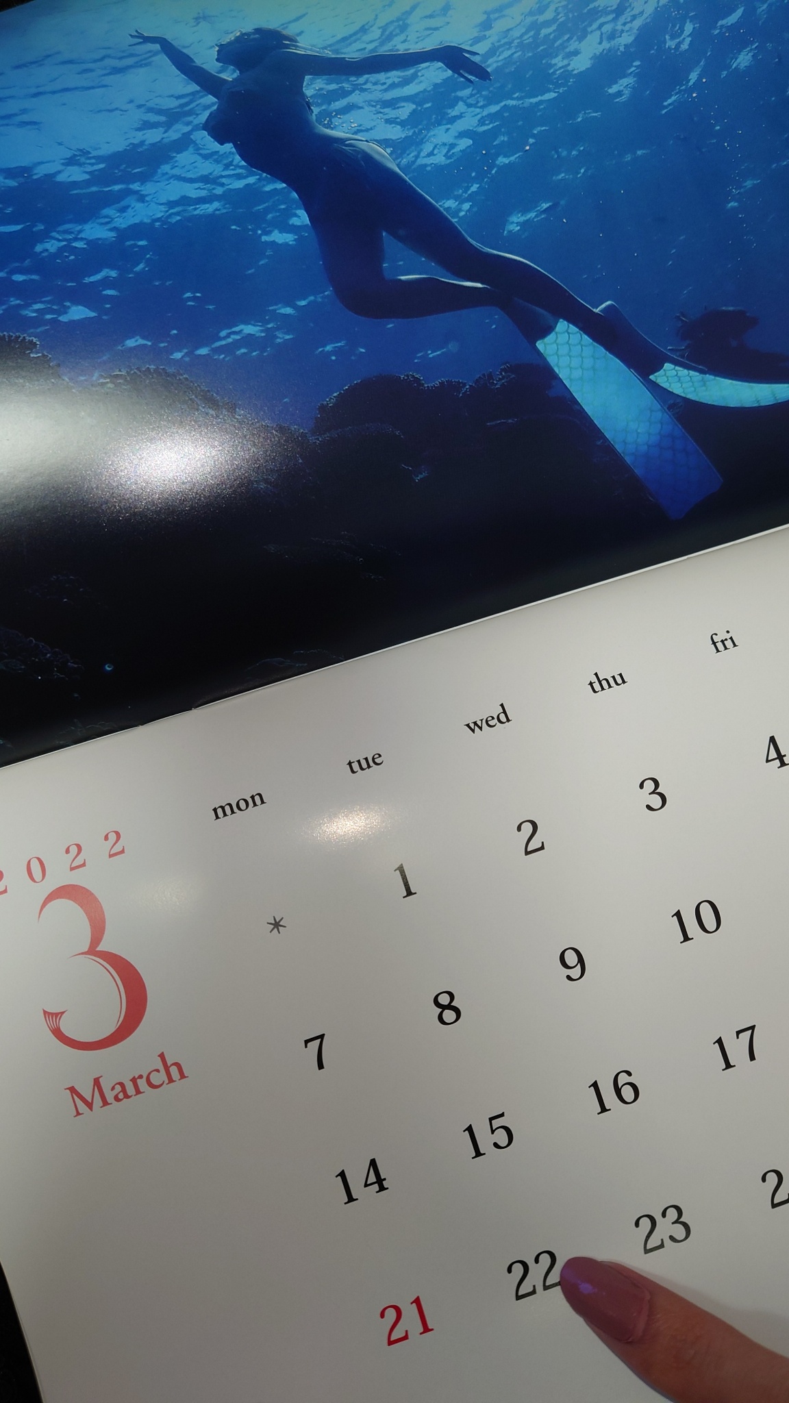 赫緋-カクヒ- on Twitter: "今日は3月22日で「みつつの日」(@ringo_mitsuki)ということで、 いつもありがとうございます💕🙏 https://t.co ...