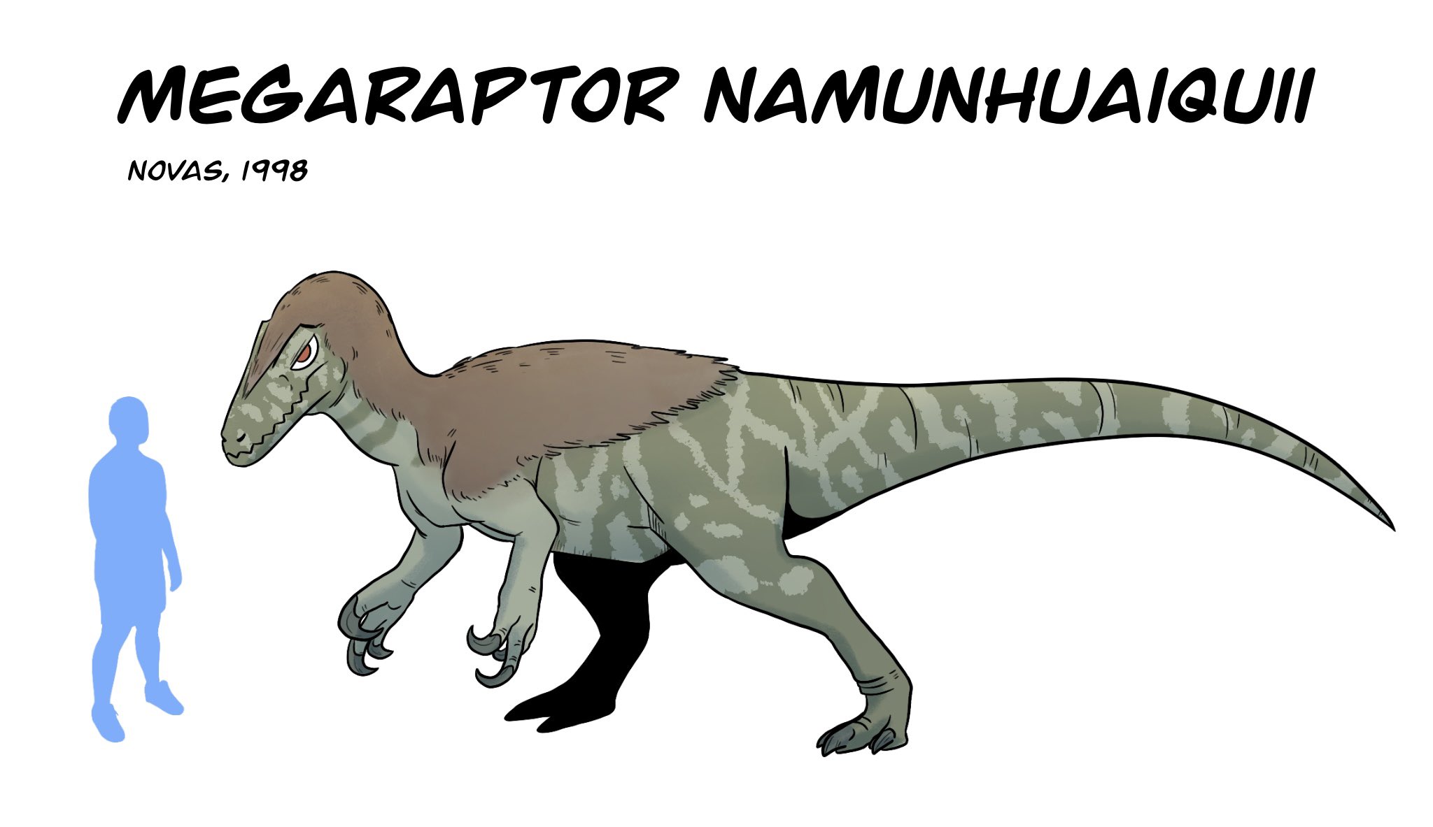 Megaraptor Size