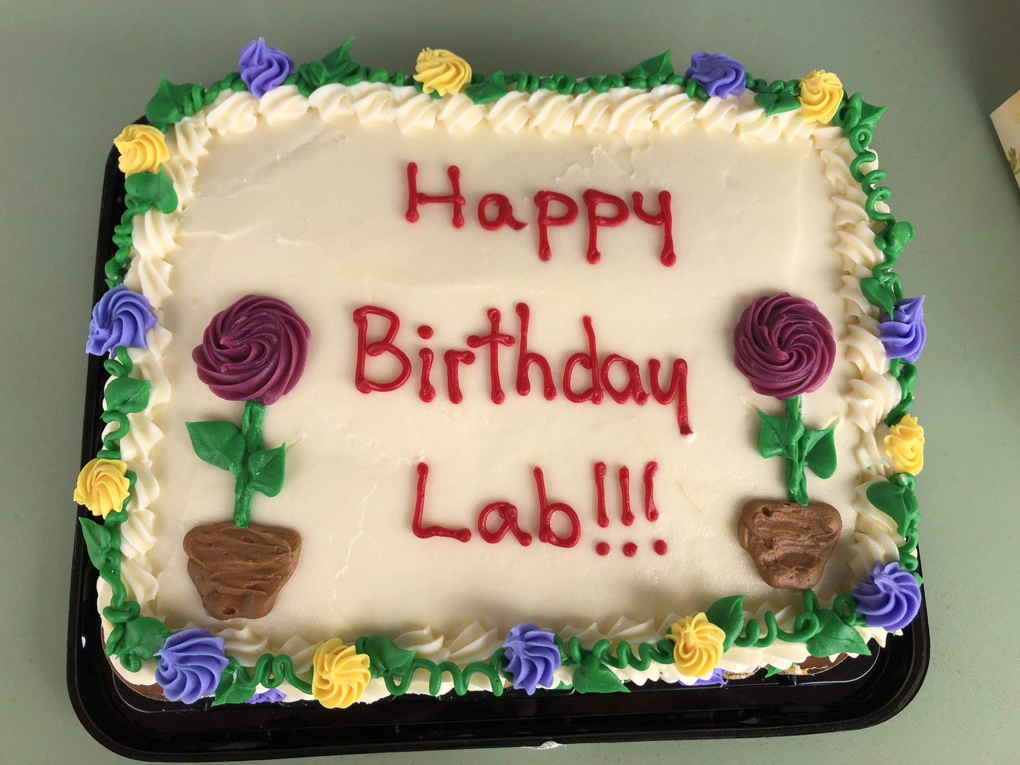Happy Birthday Laboratory