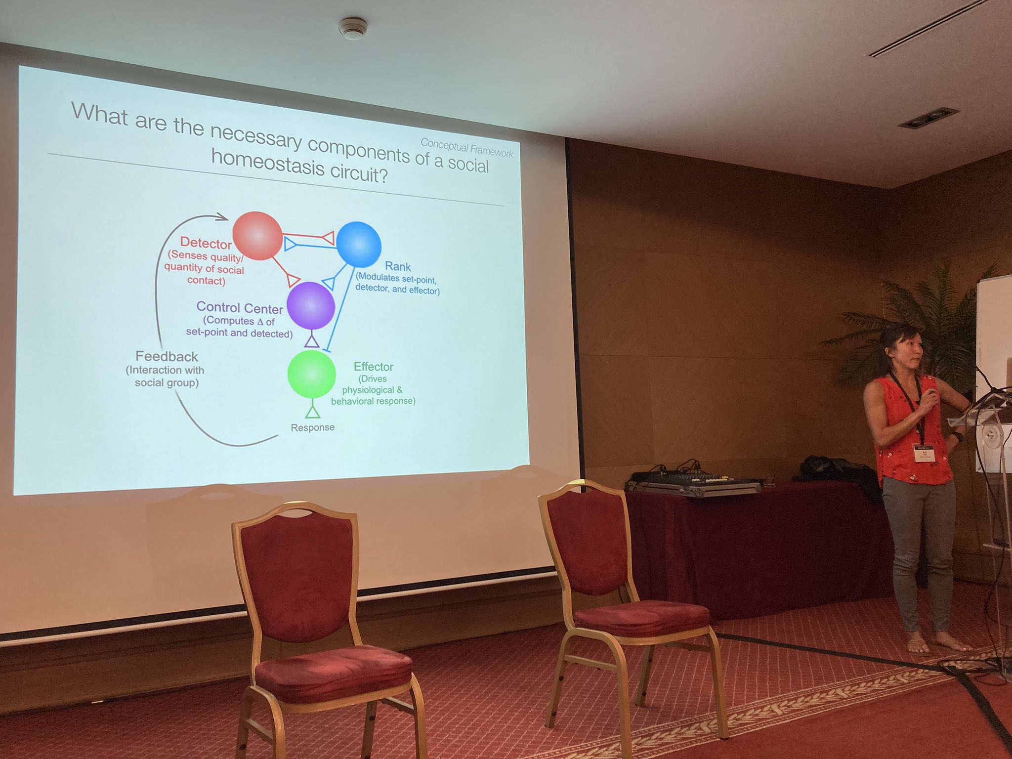 Sabera Talukder on Twitter: "Here is @kaymtye’s conceptual framework with functional nodes that ...