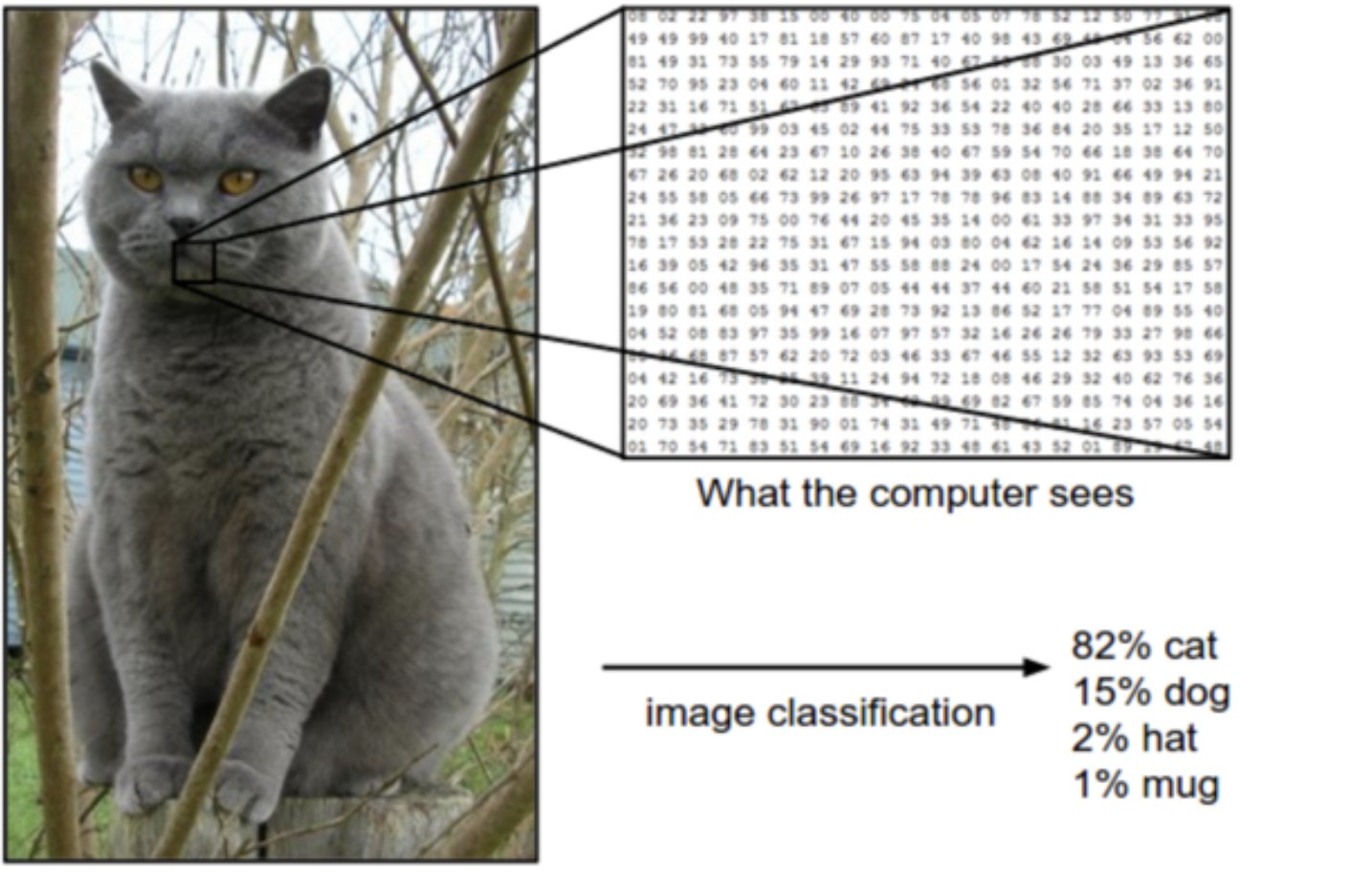 Dr Ganapathi Pulipaka 🇺🇸 On Twitter Basics Of Computervision Bigdata Analytics 2574