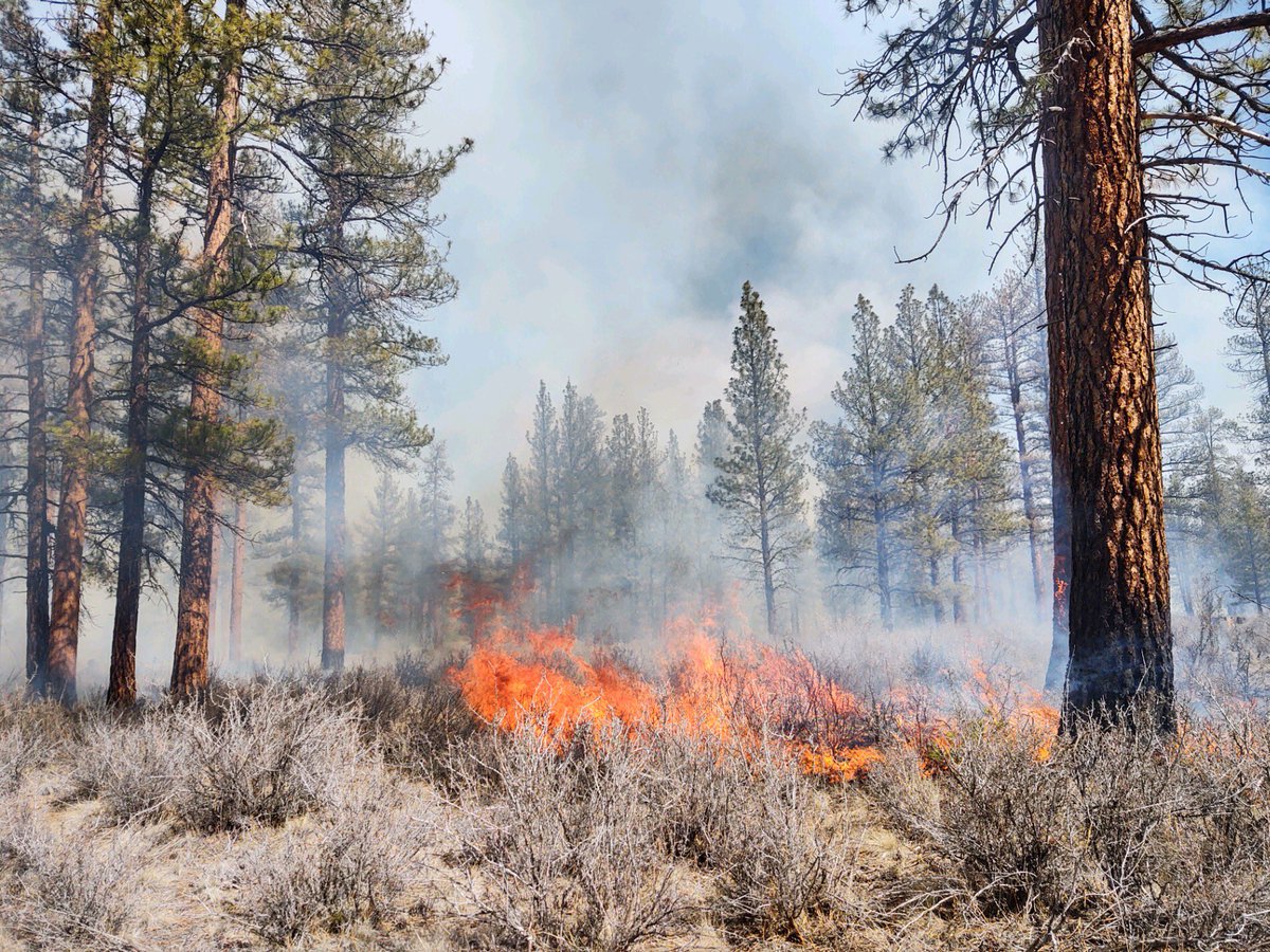 Central Oregon Fire Information – Prescribed Burning | Wildfire Updates ...