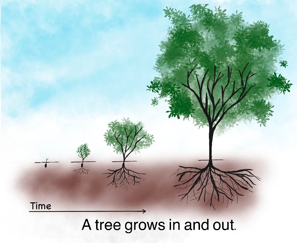 A tree grows in two directions, deep within the soil, and up towards ...