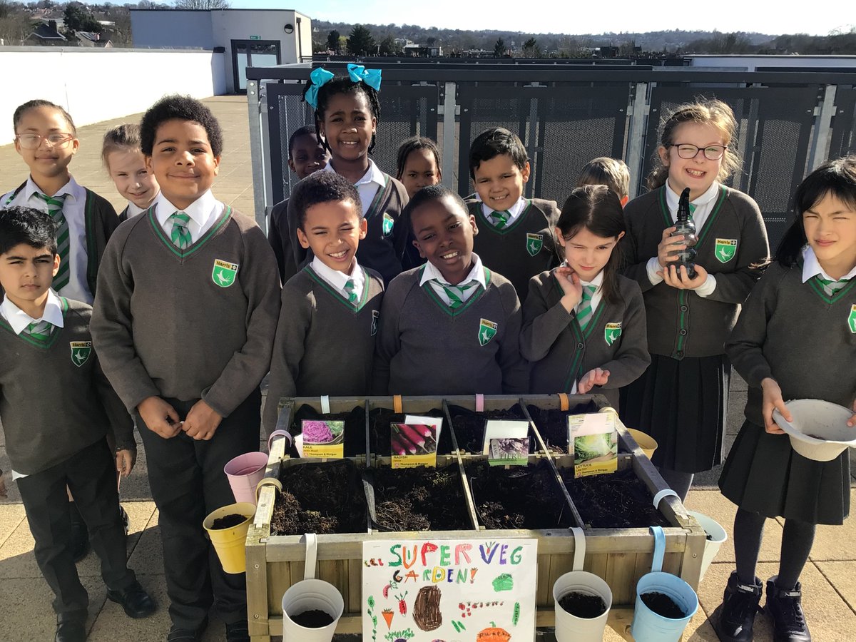 Contact - Harris Primary Academy Haling Park