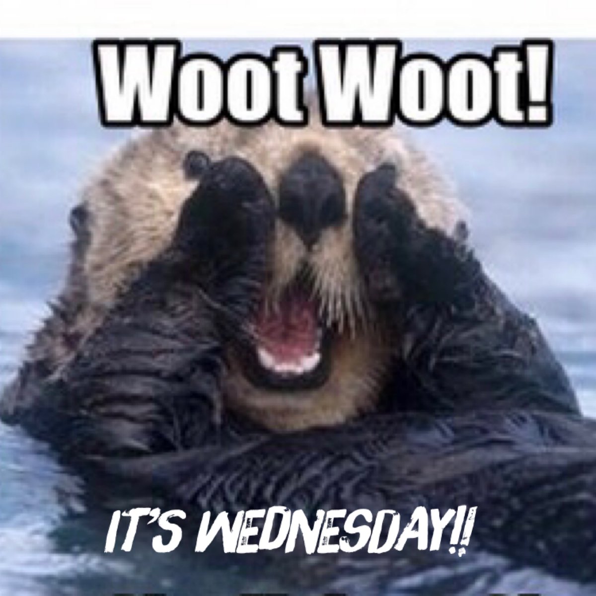 Woot Wednesday Memes DONE A WOOT WOOT Side Eyes Chloe Meme Generator