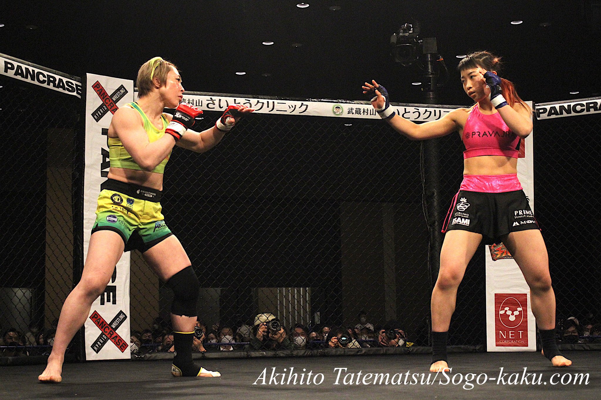 藤野恵実 emi fujino (@emi_fujino) / Twitter