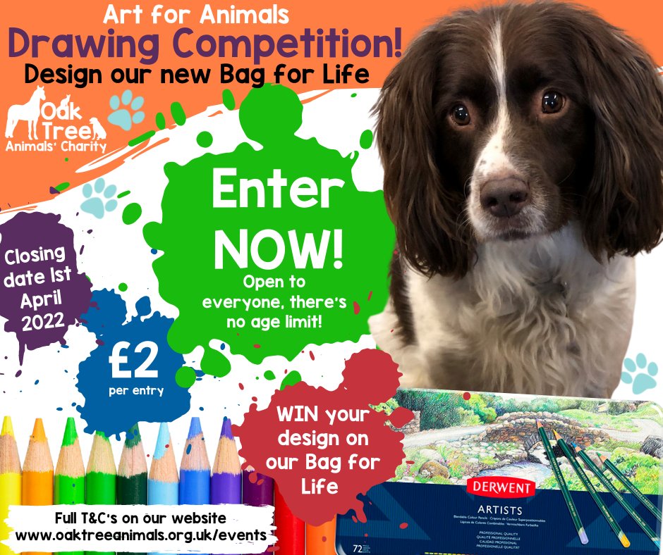 Competition Animals Drawing