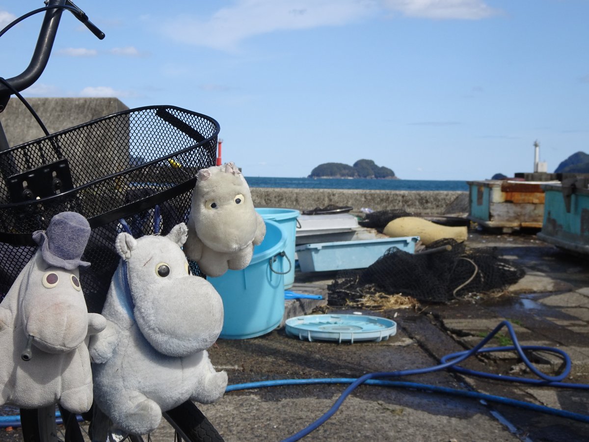 Ruby & Emmeline on Twitter: "3/20 14:16 尾鷲港 その1 佐波留島 実家で昼飯を食べたあと、とくにやることもないのでまたムーミン号を借りて港まで行く。いい ...