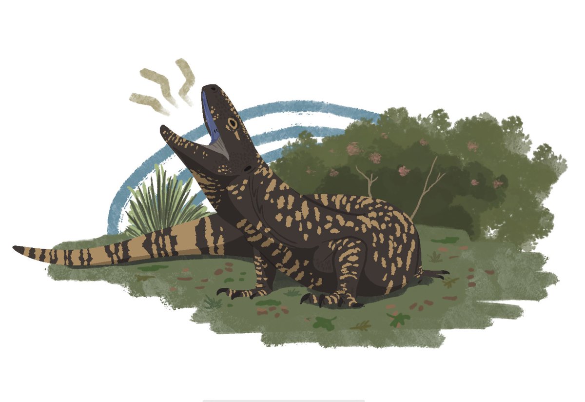 Hell Creek Enthusiast (@LancianIdolatry) さんのイラスト・マンガ作品まとめ (20 件) - Twoucan