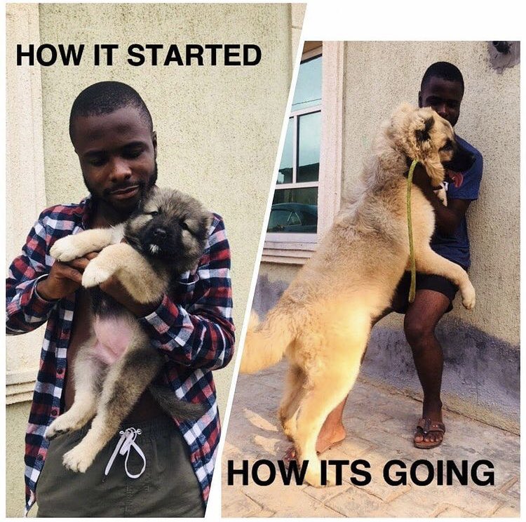 tEchBrO.D🇨🇦 on Twitter: "Photo dump ️ https://t.co/dj7OFR90ze" / Twitter