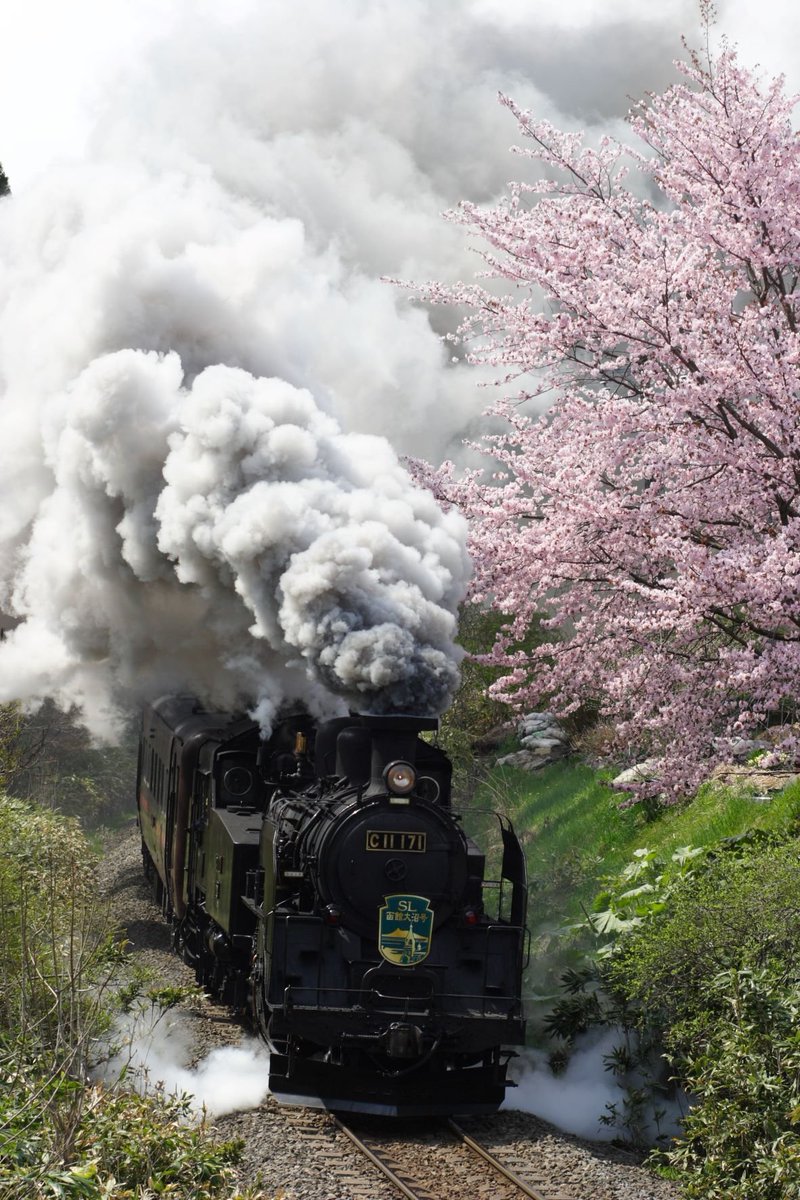 渡島北斗のテツさんの人気ツイート（新しい順） - ついふぁん！