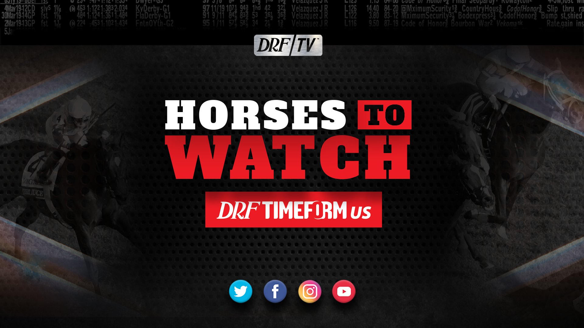 Daily Racing Form On Twitter On This Week s Horses To Watch daily-racing-form-on-twitter-on-this-week-s-horses-to-watch