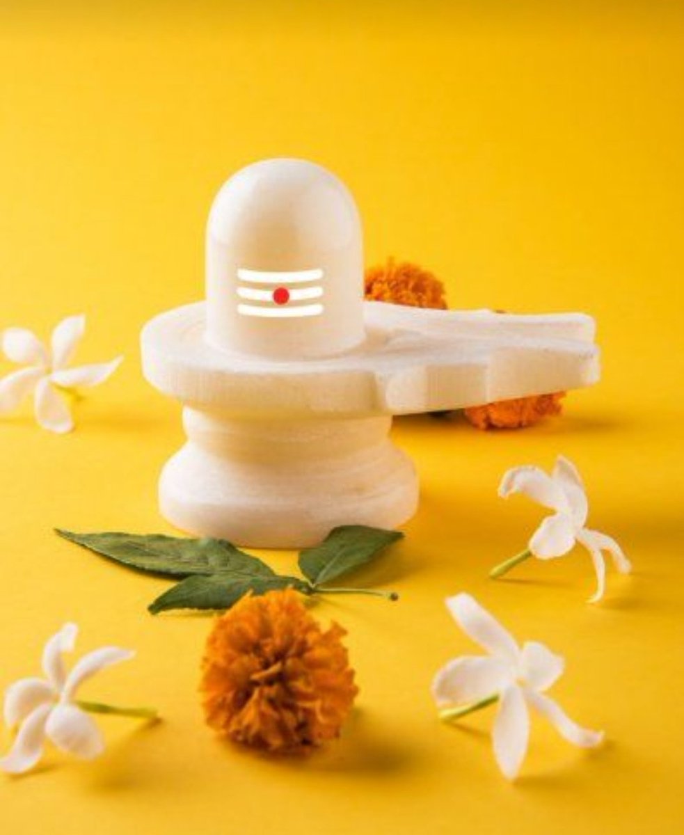 Any kind of Shiva linga can be kept at home :: Black colour linga White ...