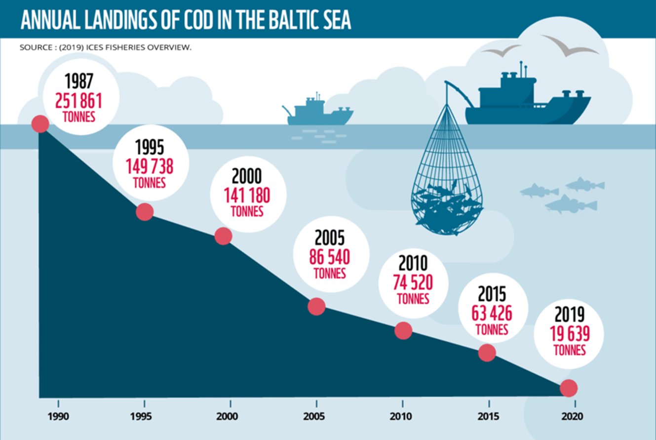 Overfishing Charts