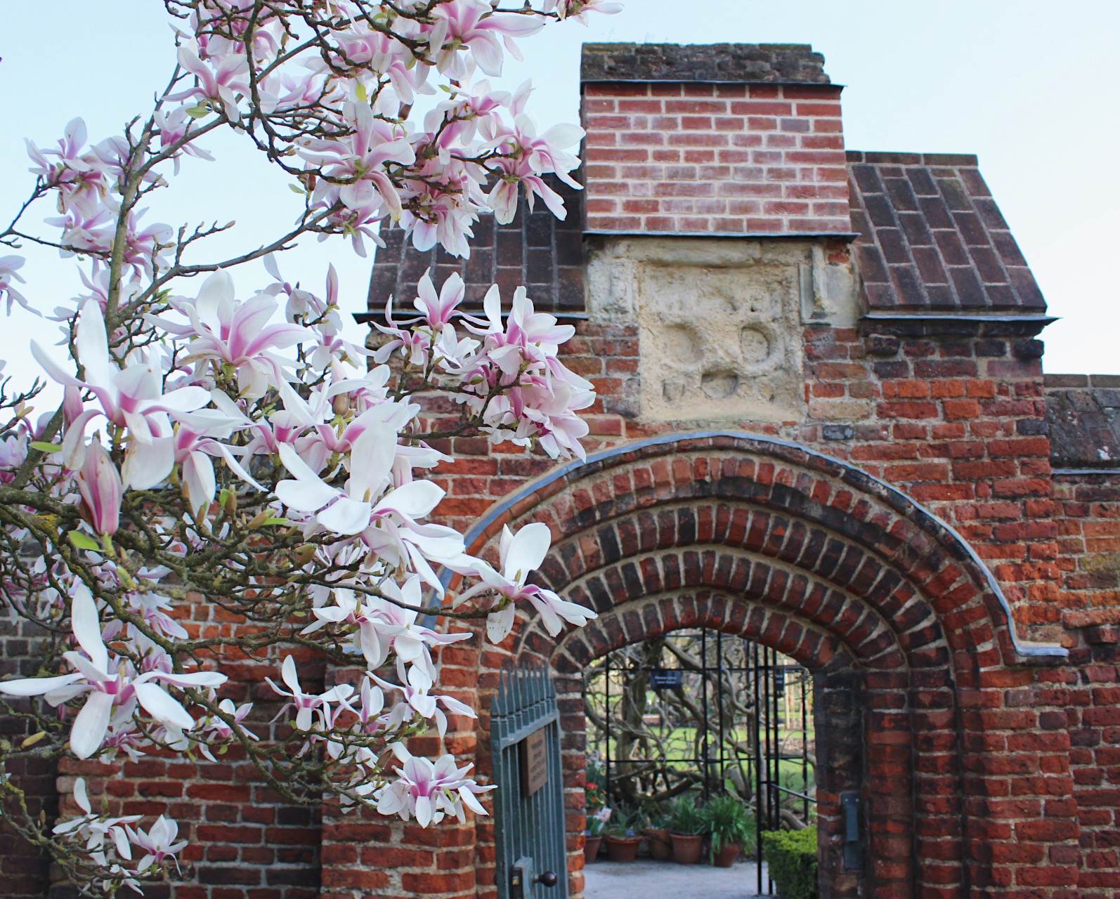 Magnolia Beautiful Archway