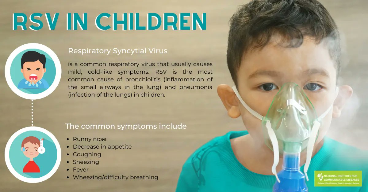 NICD on Twitter: "Respiratory syncytial virus (RSV), is a common respiratory virus that usually ...