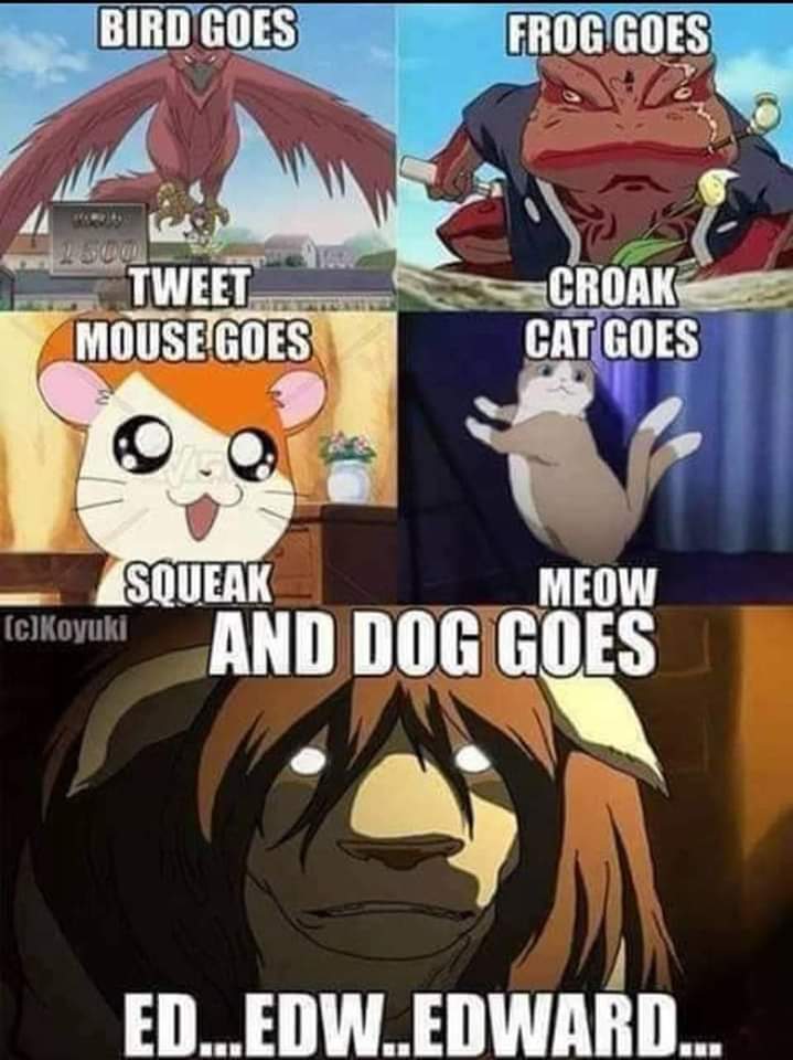 Fullmetal Alchemist Dog Memes Fullmetal Alchemist Dog GIFs | Tenor
