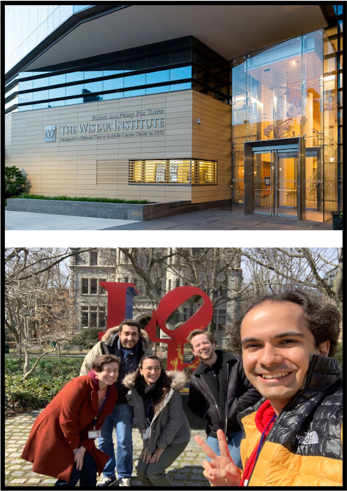 Amelia Escolano (@EscolanoLab) / Twitter