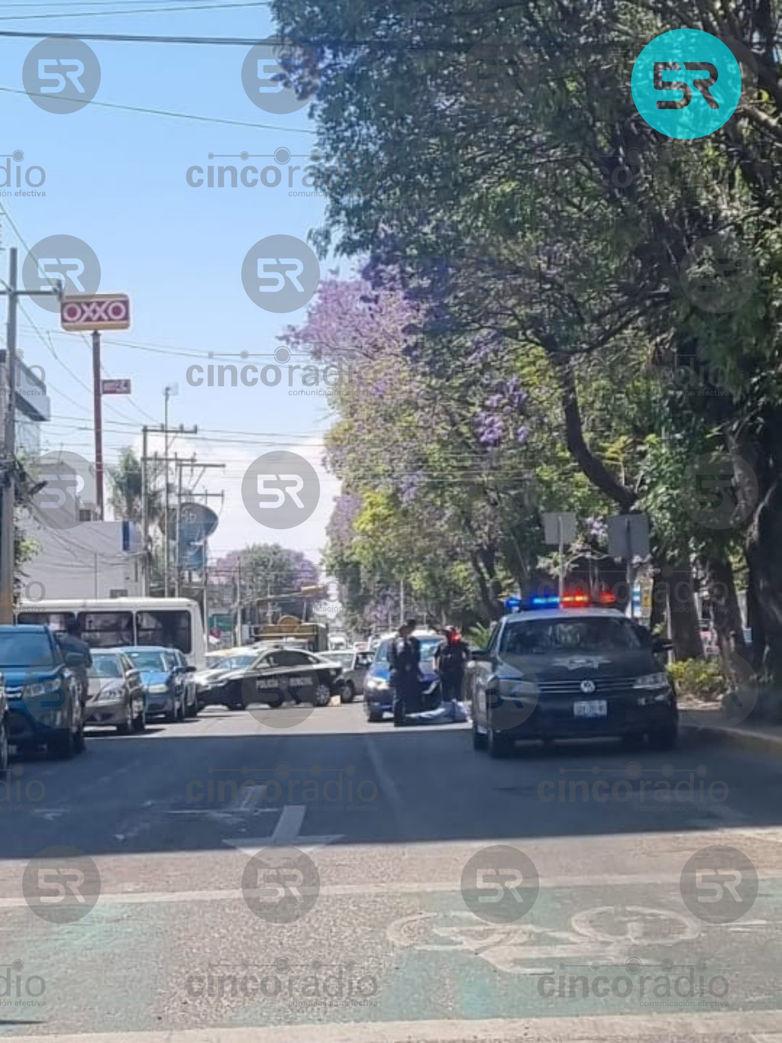 Cinco Radio Oficial On Twitter 🚨 Almomento 🚨 Reportan Intento De