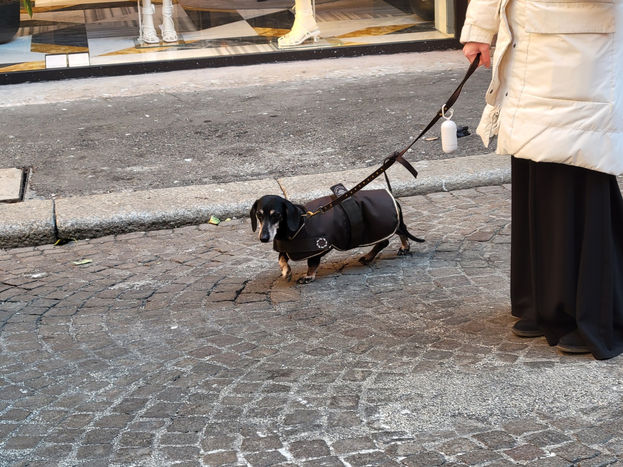 TW Pornstars - Charlie Charm. Twitter. I miss my pups so I took a ...