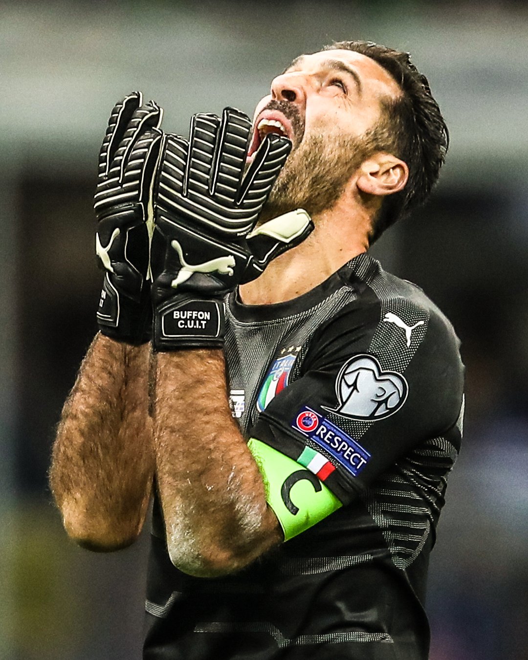 Buffon Gloves 2022